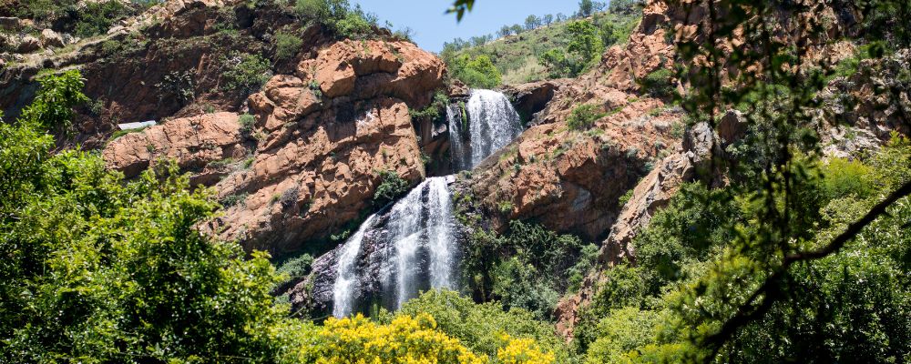 Stor-Age | Moving to Randburg? Best suburbs, schools & more